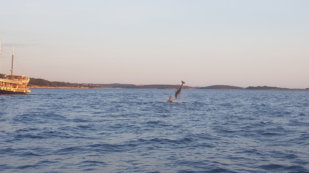 Izleti brodom Poreč i Istra | Santa Maria brod izleti iz Poreča